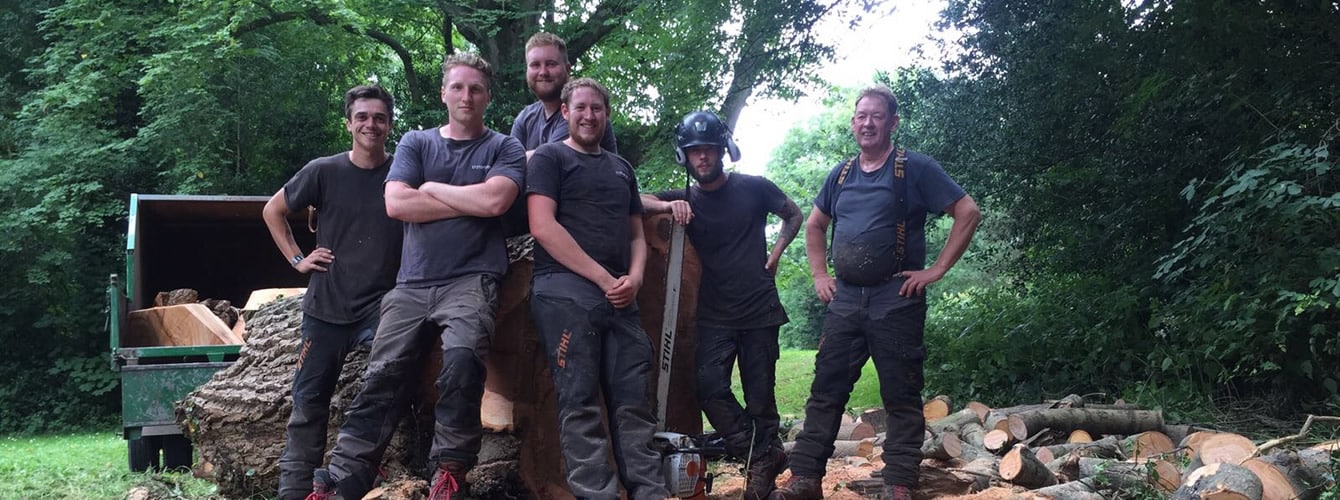 About us - Expertrees Tree Surgeons - Surrey and Kent